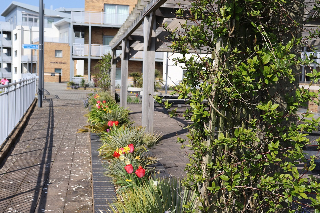 Harbour Reach Poole Phase 2 | Harbour Reach Phase 2 site provides ...